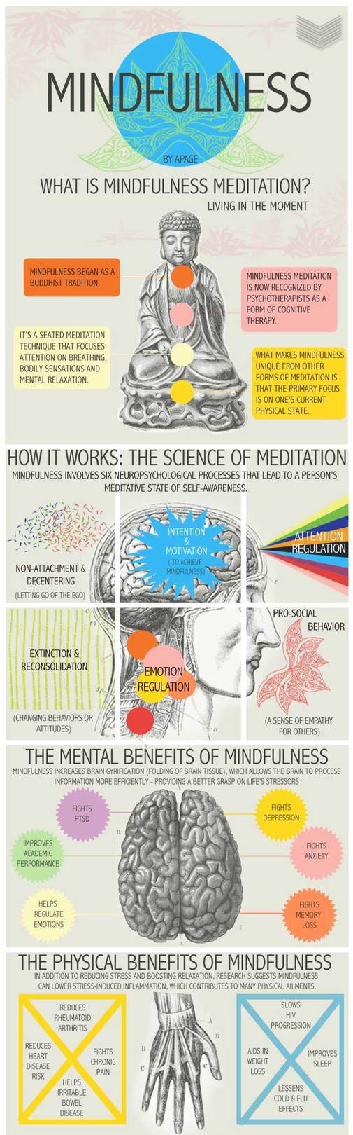 Mindfulness: Narrow & Broad Anchors | by Karsh Sahay | People For The ...