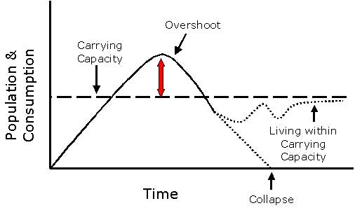 Carrying Capacity Graph