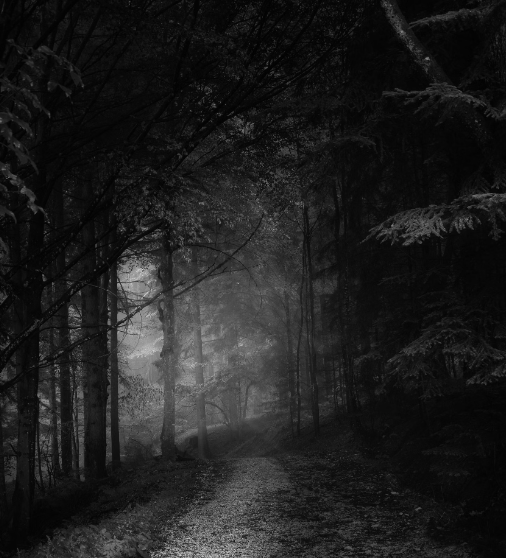 Infected by Your Darkness. Here we sit, resting our blistered feet | by ...