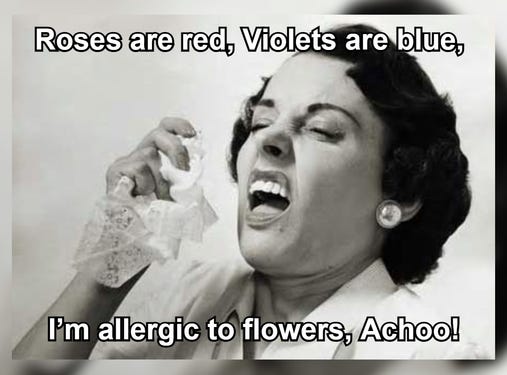 50 ‘Roses Are Red Violets Are Blue Jokes’ for the Poet in You ...