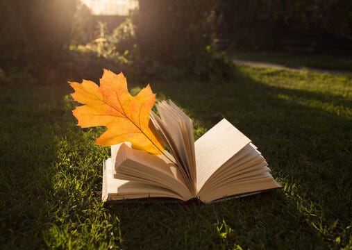 My Top 5 Best Books That Changed My Life, Now It’s Your Turn | by A.K ...