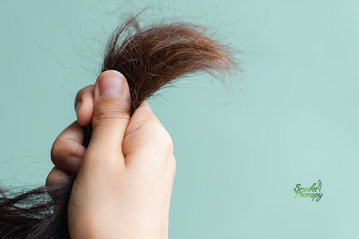 5 Hair Care Mistakes That Cause Hair Damage | by Smoke Therapy | Medium