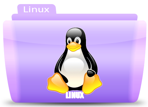 Linux Fundamentals. [1] Basic Commands | by Tidi ☁︎ | Jan, 2024 | Medium