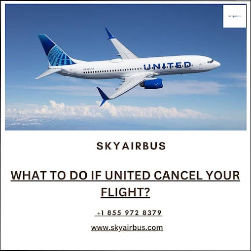 What to do if united cancel your flight? | by Jennifer Jenkins | Medium