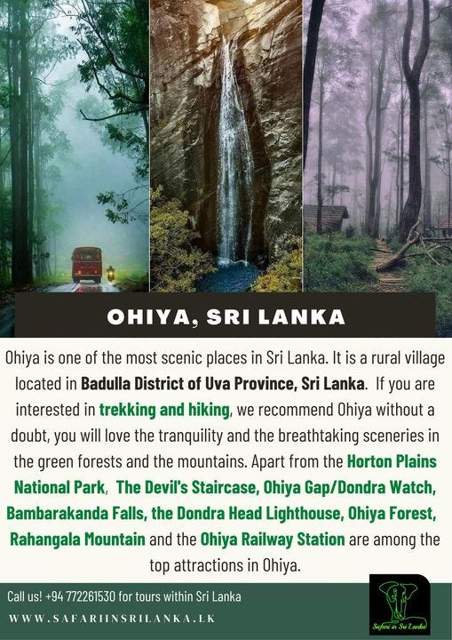 Plan your next trip to Ohiya-Sri Lanka - Safari in Sri Lanka - Medium