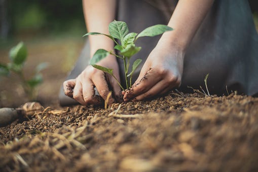 Environmental Health is Social Destiny | by Kishore Ramaraju | Medium