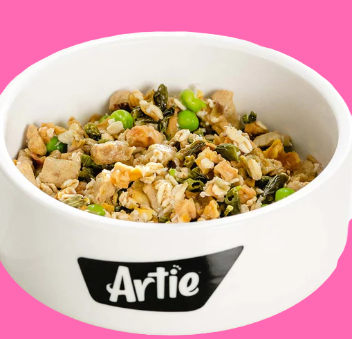 Artie Pet Food: Elevating Pet Nutrition to a Gourmet Experience | by ...