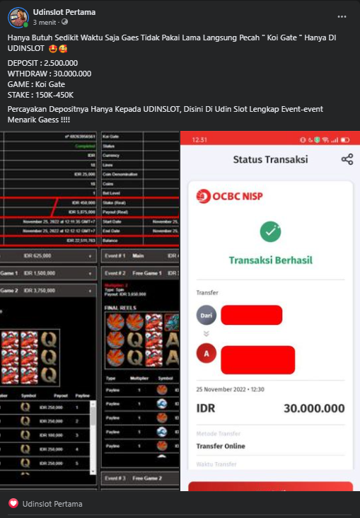 UDINSLOT - Shelly UDINSLOT - Medium