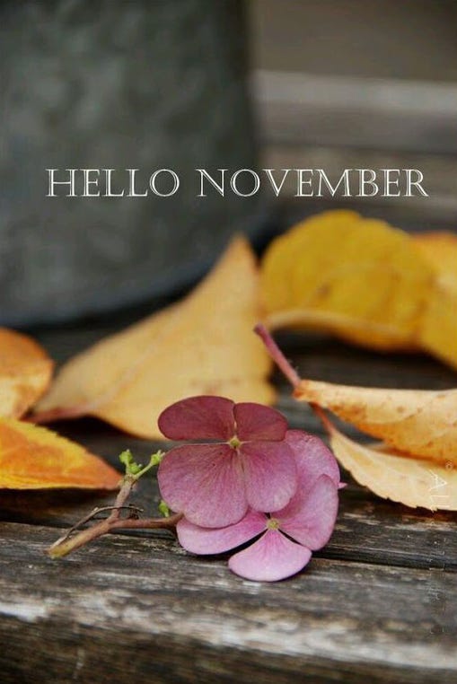 So What That November Has Come?. November has come with its moods, | by ...
