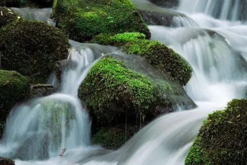 “Flowing” along makes pain and suffering easier, part of being human ...