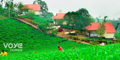 Vagamon Tourist Places — The Ultimate Vagamon Travel Guide | by Charles ...