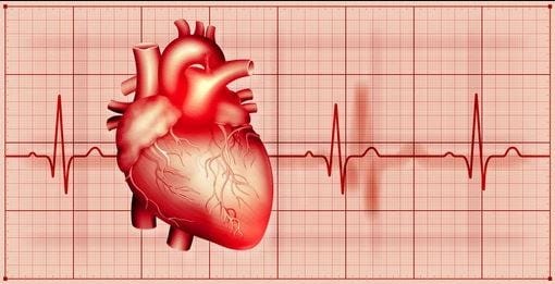 Normal heart rate : 5 Natural Solutions for Optimal Cardiovascular ...