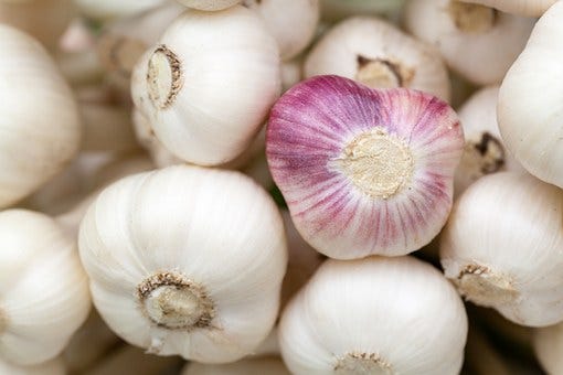 In Pictures: How to enjoy the health benefits of ‘Raw Garlic’ without ...