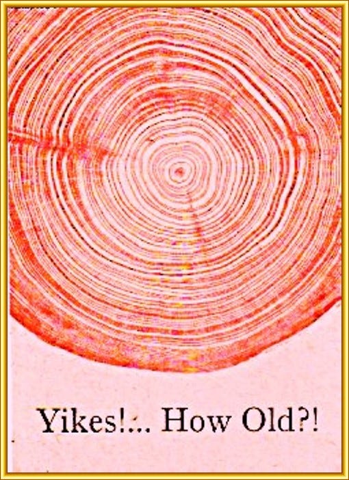 'Old Age' means 'New Life' to this legend | ILLUMINATION