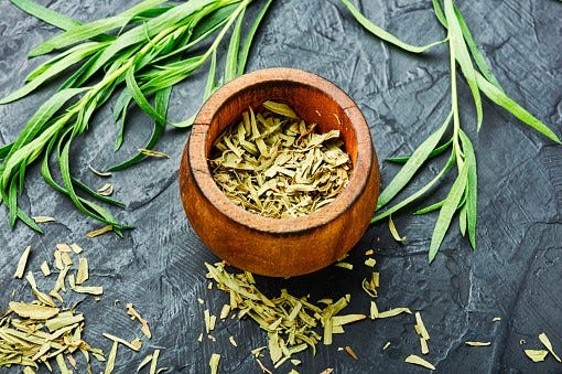 4 Ways To Use Tarragon In Your Cooking | by Trevor Lyons | Medium