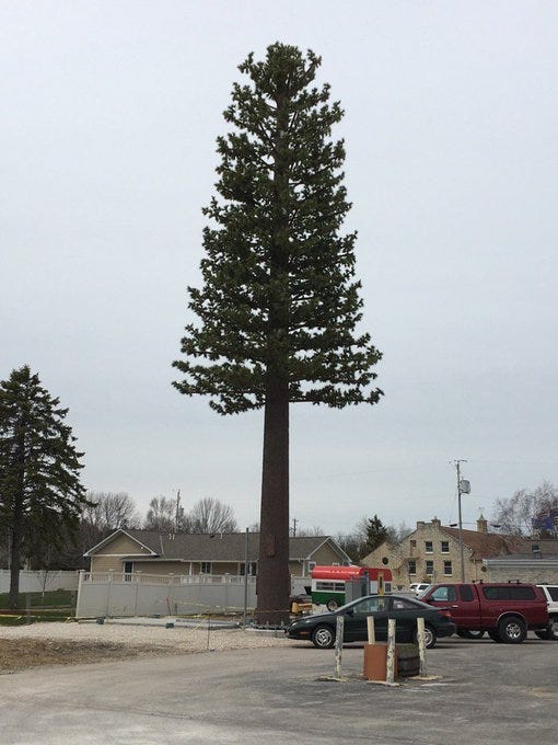 Fact: Some Cell Phone Towers Are Disguised As Trees - Think On Your Own ...