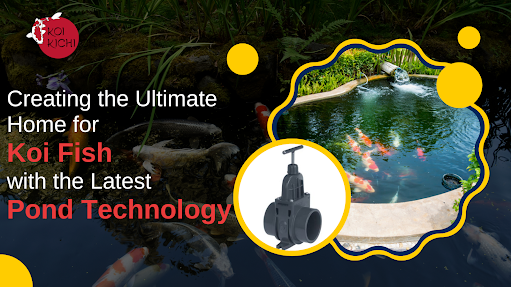 Creating the Ultimate Home for Koi Fish with the Latest Pond Technology ...