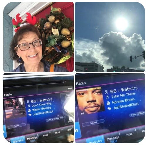 I don’t get out much (and when I do someone cusses at me😂) | by Lu ...