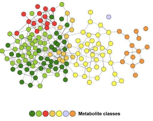 How Metabolomics Will Lead the Way for Preventative Medicine | by ...