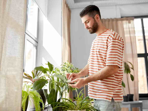 WHICH INDOOR PLANTS CAN EASE YOUR STRESS AND ANXIETY? (TOP 10) | by INJILA HASHMI | May, 2023 ...