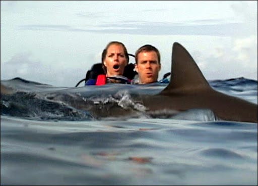 Movie Review: Open Water (2003) - As Vast as Space and as Timeless as ...