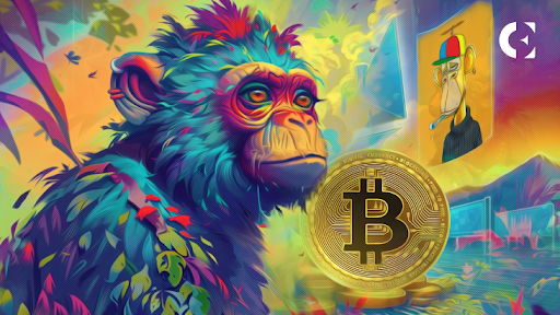 Bitcoin NFT NodeMonkes Exploded 53%, Beating BAYC NFT - Dayavanthi - Medium