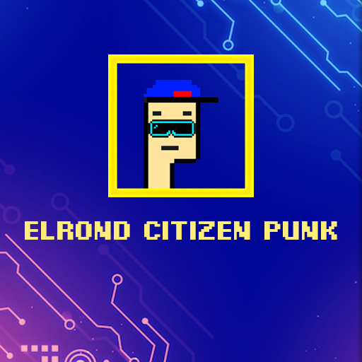 A detailed thread about our project - Elrond Citizen Punk - Medium