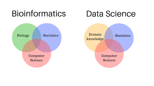 Data Science versus Bioinformatics | by Zahra Elhamraoui | Medium