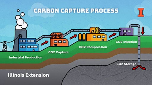 What Is Carbon Capture and How Does It Work? | by Poppystringer | SKOOT ...