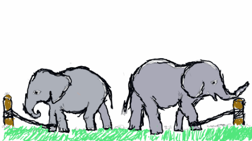 The Elephant Rope. A short story with morals. | by Inquisitive Soul ...