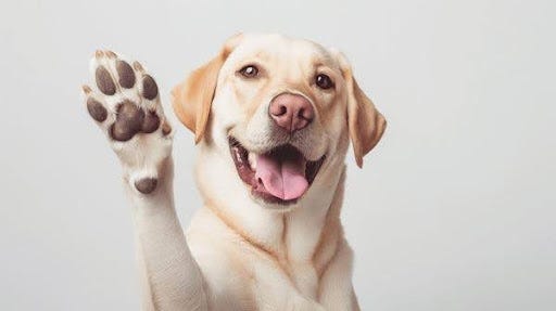 Paws Up for Pawsome Pups: Fun Ways to Teach Good Manners to Your Furry ...