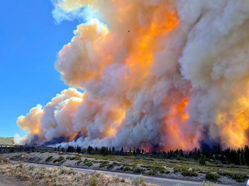 California Fires End the Summer. The Mill fire in Weed, California ...