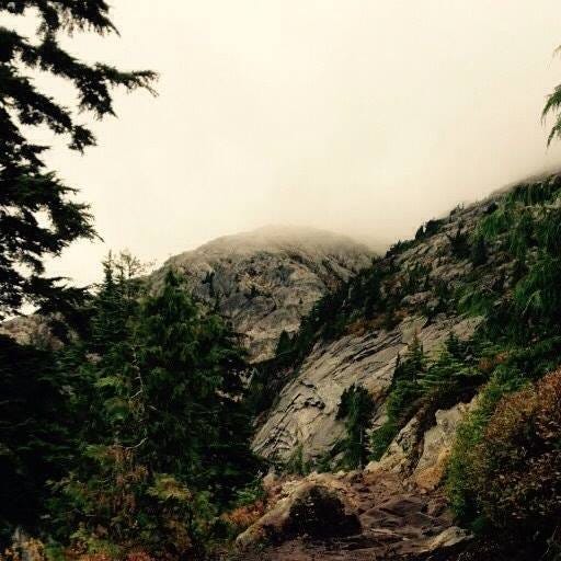 Exploring Ecotheology. (Landscape and Life Group) | by Emily Louise ...