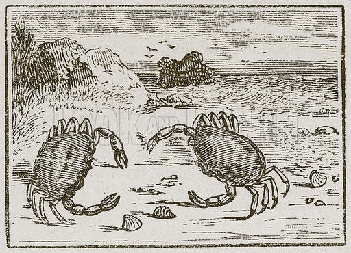 Writing unit tests for C++ with Bazel and GoogleTest | by Ratan Parai ...