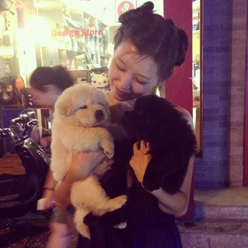 Animals all around us. Most people don’t realize there is an… | by yx ...