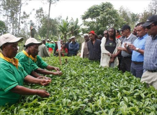 From Information to Transformation:The Crucial Role of Agricultural ...