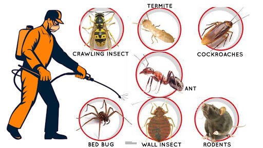 Pest Control UAE. AJ Pest Control and Cleaning Services… | by AJ Pest ...