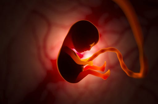 Cystic Fibrosis disease and pregnancy | by Hospital-in-House | Medium