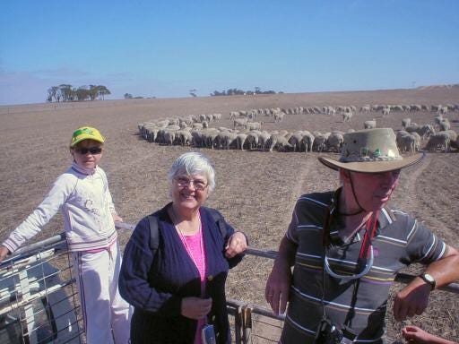 Take Delight Of Boshack Farm Activites | by Boshack Outback | Medium