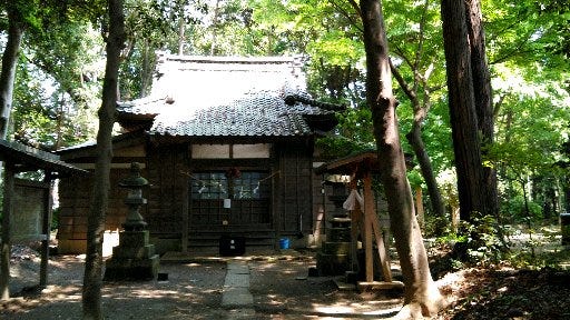 A trip to Japan that no one knows about. Forest Gods from Thousands of ...