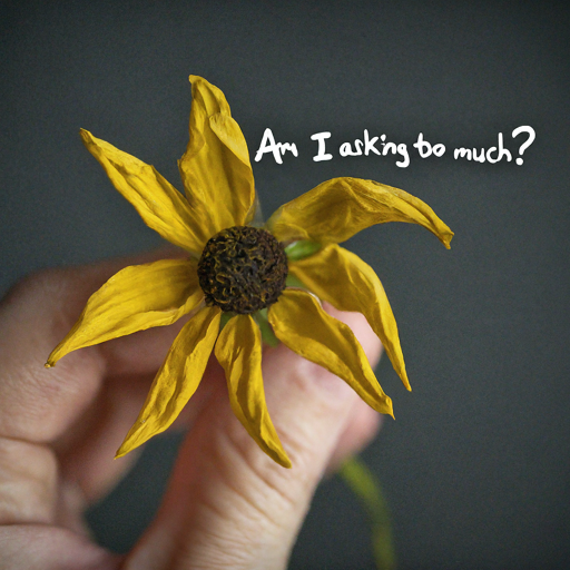 Am I Asking Too Much?. Are you grappling with the fear that… | by Ewho ...