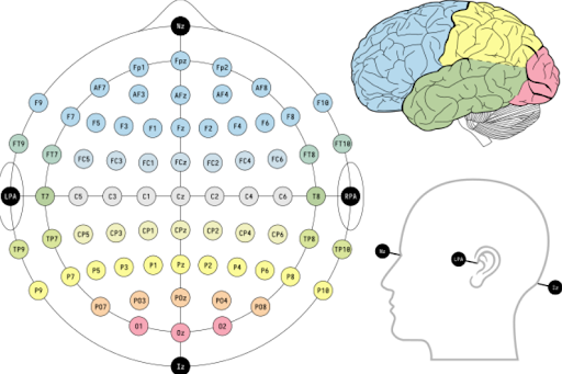 Classify EMG with machine learning | by Adam Nemes | Medium