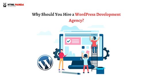 Why Should You Hire a WordPress Development Agency? | by Adam Parker ...