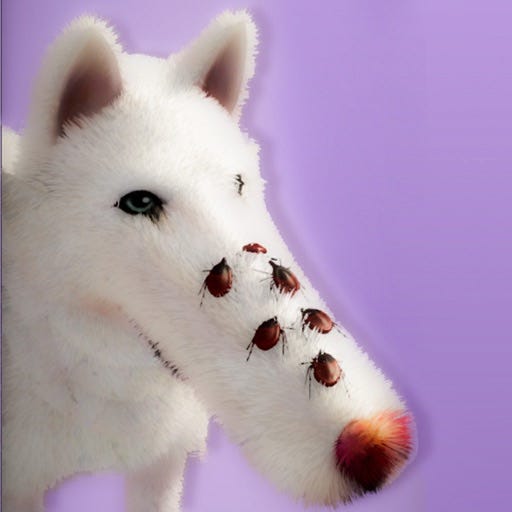 Dog ASMR: Makeover & Skin care. A day from a dogs life! | by cho mee ...