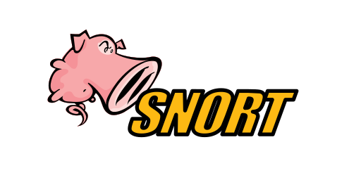 Setting up Snort to monitor your SOC Lab | by Corey Jones | T3CH | Medium