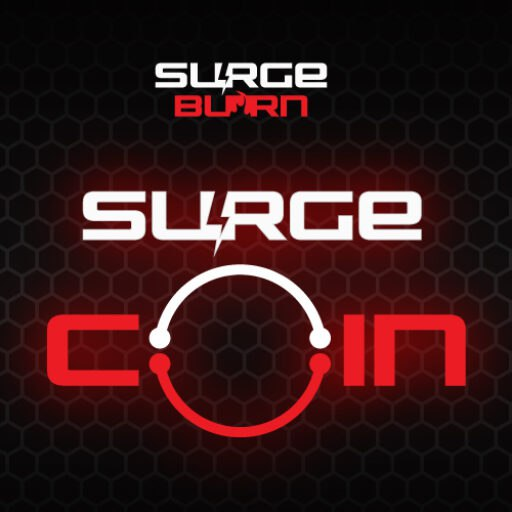 Surgecoin: The Real-Time Token Tracking Platform | by SurgeBurn | Medium