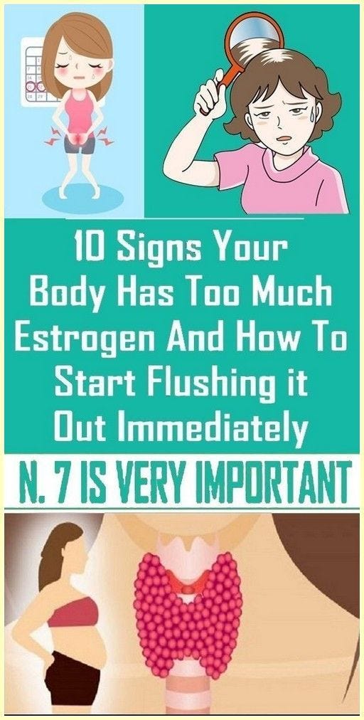 Identifying Estrogen Dominance In The Body And Treating It | by dalila ...