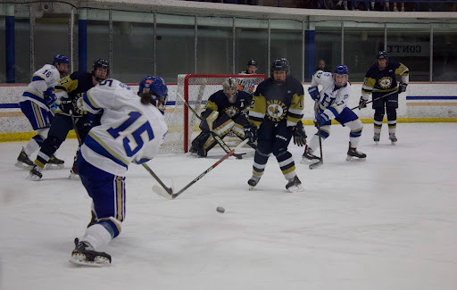 Women’s ice hockey wins NESCAC quarterfinal | by The Spectator | The ...