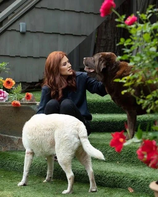 Kara Goldin, the visionary behind Hint Water, a company that emerged ...