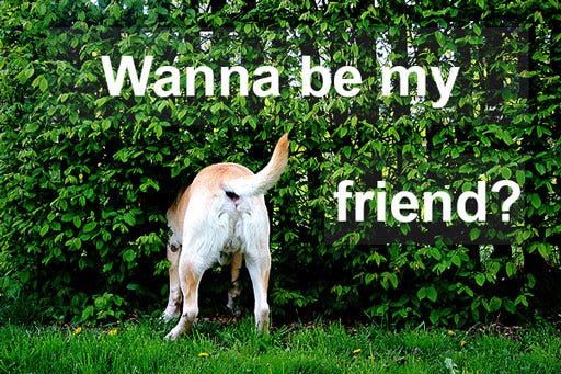 Java Buddy Java Buddy